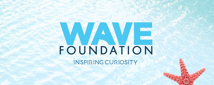 Home - Wave Foundation