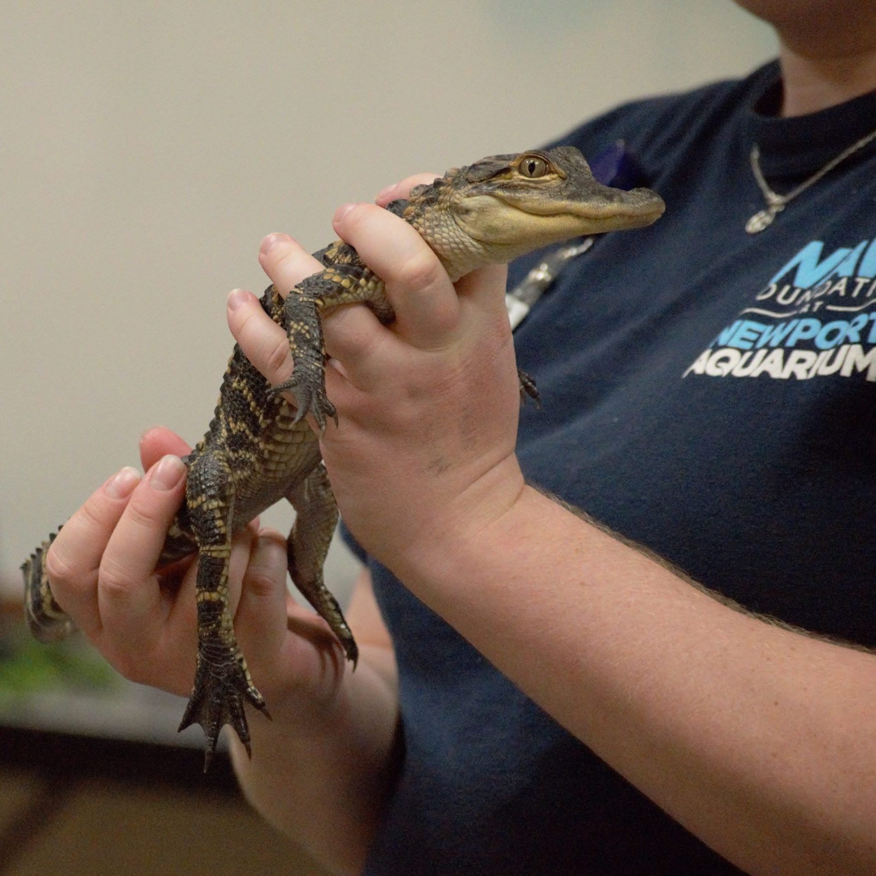 Teacher Resources - WAVE Foundation