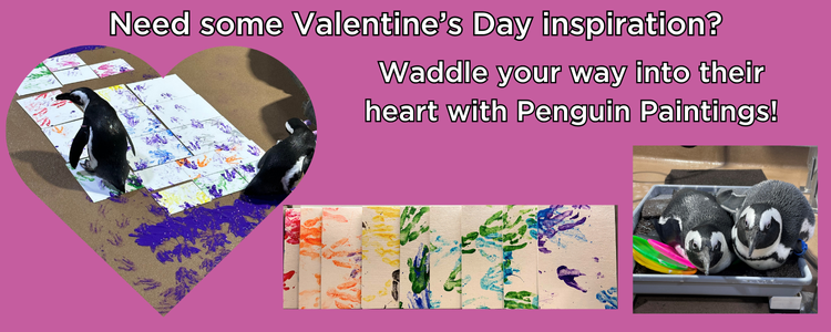 Home - WAVE Foundation